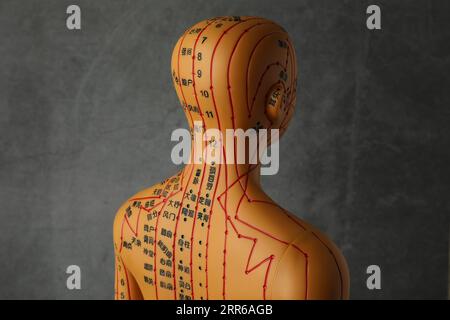 Acupuncture model. Mannequin with dots and lines on dark grey ...