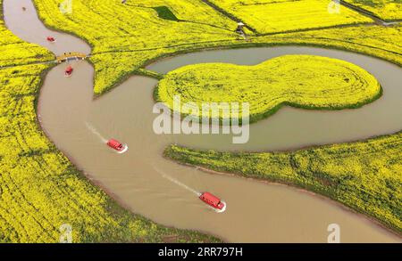 Aerial photo shows blooming cole flowers in Chongqing, China, 10 March ...