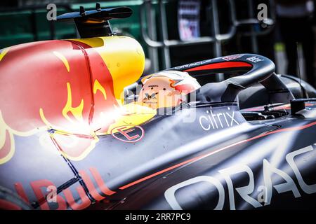 Max Verstappen (Oracle Red Bull Racing, Netherlands, #03), MCO, Formula ...