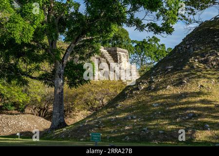 The Temple of the Masonry Pillars & the mound of Structure A5 in the ...