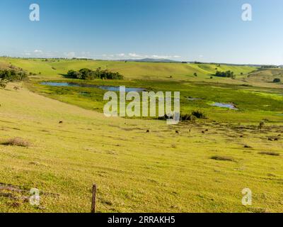 Bromfield Swamp, Bromfield Crater, Shallow crater of extinct Volcano ...