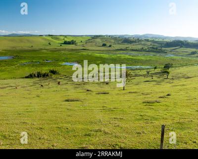 Bromfield Swamp, Shallow crater of extinct Volcano, Malanda, Australia ...