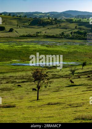 Bromfield Swamp, Shallow crater of extinct Volcano, Malanda, Australia ...