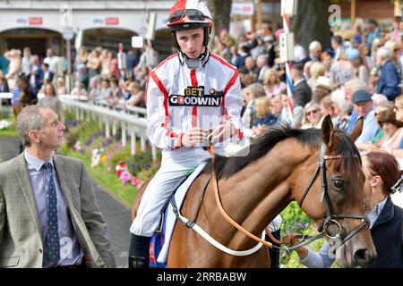 Horse HMS President and jockey Rossa Ryan Stock Photo - Alamy