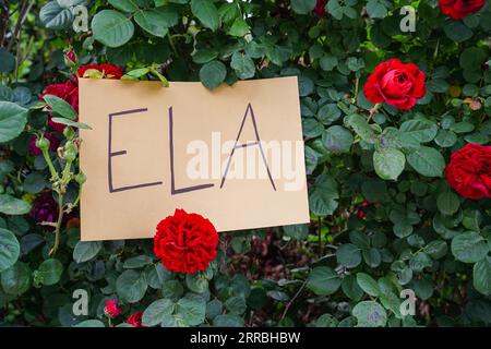 the acronym als for Amyotrophic Lateral Sclerosis concept represented ...