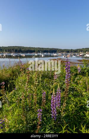 Round Pond harbor, Maine, USA on an early summer morning with blue ...