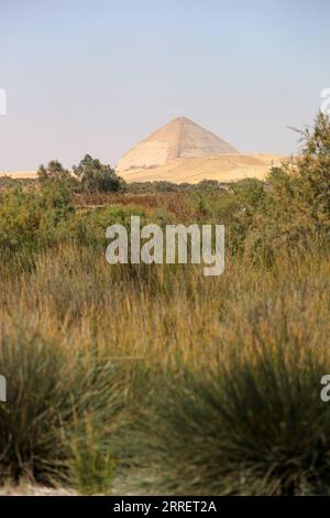 220315 -- GIZA, March 15, 2022 -- Photo taken on March 14, 2022 shows ...