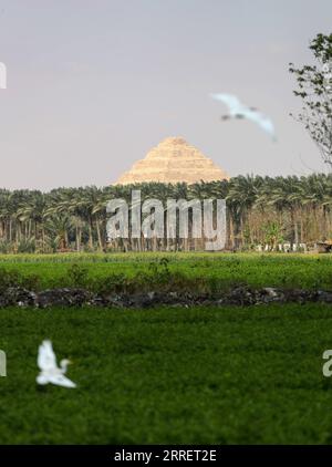220315 -- GIZA, March 15, 2022 -- Photo taken on March 14, 2022 shows ...