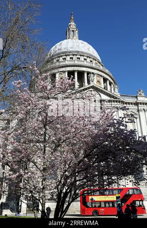 220317 -- LONDON, March 17, 2022 -- Blooming flowers are seen near St ...
