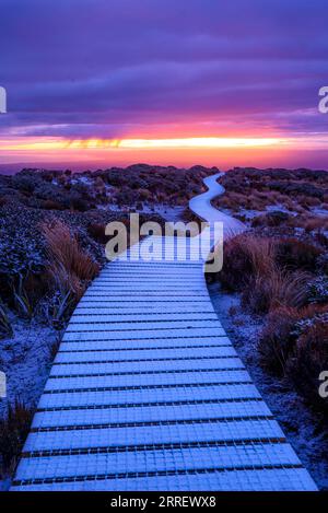 hiking the mangorei track,mount egmont national park, mount taranaki ...