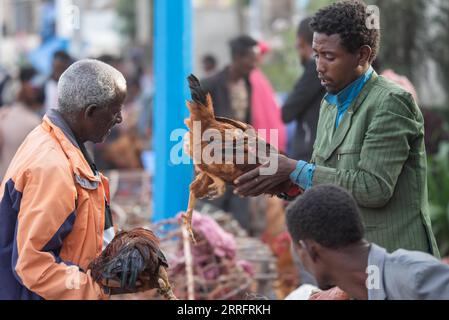 Shola Market, Addis Ababa, Ethiopia Stock Photo - Alamy