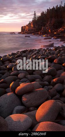 Otter Cliffs along the North Atlantic Seaboard in Acadia National Park ...