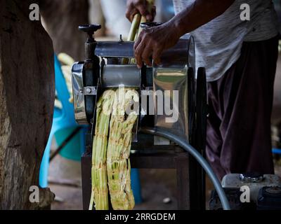 fresh sugarcane juice refreshing natural drink at street shop Stock ...