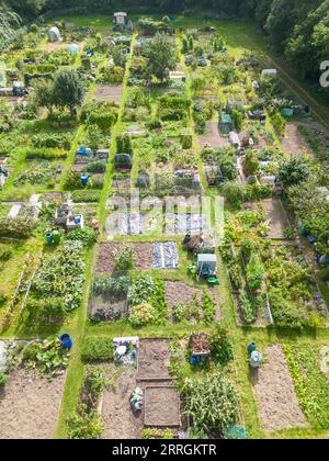 aerial view of my allotments in early September in Burgess Hill West ...