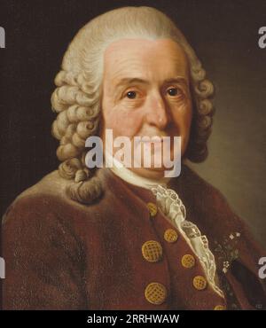 Carl Linnaeus (1707-1778) on engraving from the 1800s. Swedish botanist ...
