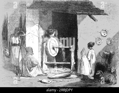 The Kabyle people, Berber people and ethnic group indigenous to Kabylia ...