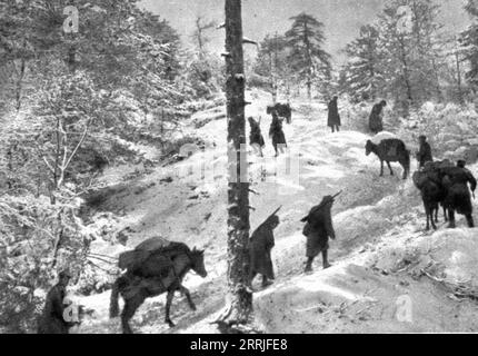 FIRST WORLD WAR: Macedonian front. 1st January 1917. Thessaloniki, 1935 ...
