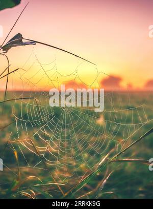 Landscape shot in Taunus, beautiful nature in sunrise, forest and ...