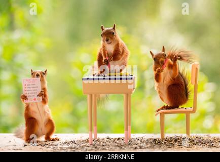 Red Squirrels with a desk and check list Stock Photo - Alamy