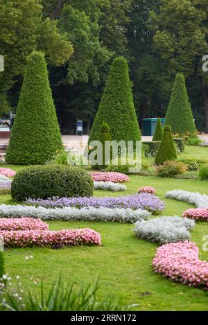 Triangle green trees in formal garden in reserve of Peterhof, Russia ...