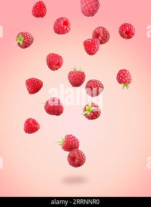 Many fresh ripe raspberries falling on white background Stock Photo - Alamy
