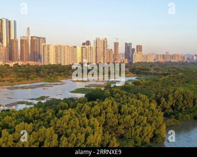 230202 -- SHENZHEN, Feb. 2, 2023 -- This aerial photo taken on Feb. 1 ...