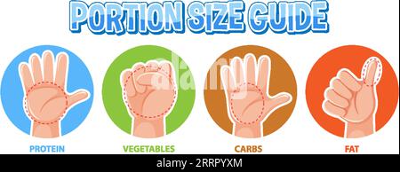 Comparing food amounts using hand portion sizes Stock Vector Image ...