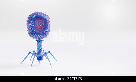 T4 bacteriophage structure, illustration Stock Photo - Alamy