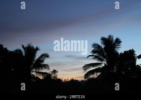 Raw flower photo for edit Stock Photo - Alamy