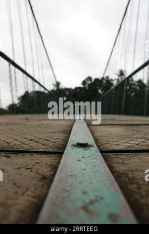 Raw flower photo for edit Stock Photo - Alamy
