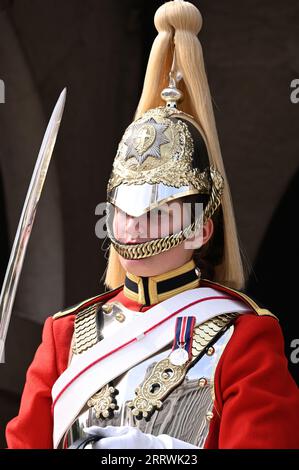 Female Life Guard, Household Cavalry, Horse Guards Parade, London, UK ...