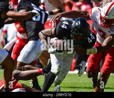 Colorado linebacker Jordan Domineck (44) celebrates with linebacker ...