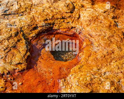 Mineral well from limestone deposits. Colonies of bacteria, cyenallae ...