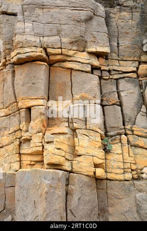Horizontal bedding structure of rock Stock Photo - Alamy