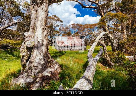 Historic Wallace Hut which is the oldest remaining cattlemen's hut near ...