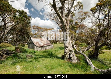 Historic Wallace Hut which is the oldest remaining cattlemen's hut near ...