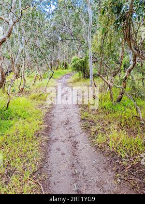 Walk and bike trails with Australian bush setting in Macleod in ...