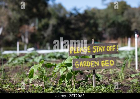 A community garden plot with warning sign in central Melbourne in ...
