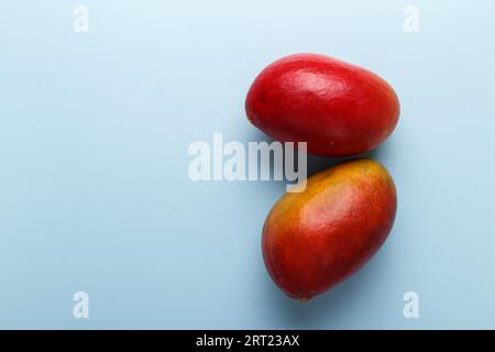 Two ripe mango organic product on the blue background Stock Photo - Alamy
