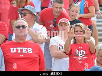 Waco, Texas, USA. 9th Sep, 2017. Baylor Bears fans during the NCAA ...