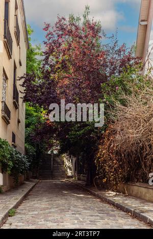 The paved streets and pretty low houses of "La Campagne ä Paris" ("the ...