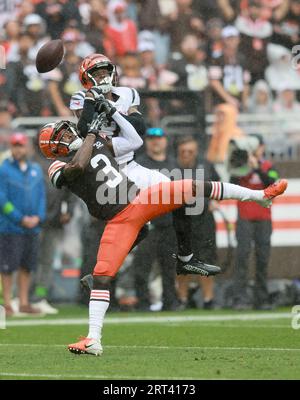 Cincinnati Bengals Dax Hill (23) and Carolina Panthers Keith Taylor Jr ...