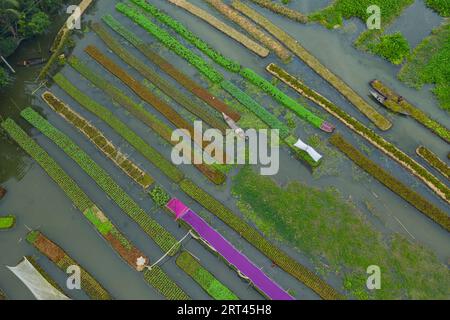 Pirojpur, Bangladesh: Aerial view of Floating vegetable beds at ...