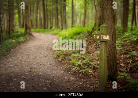Brown rustic wooden sign noting RIM TRAIL with a walking path extending ...