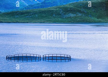 Enclosure cages of a fish farm in a sea loch farm on the west coast of ...
