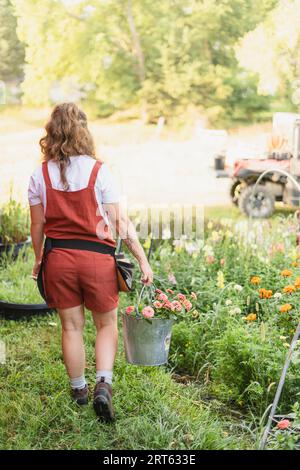 Woman gardener carrying bucket of green pepper outdoors Stock Photo - Alamy