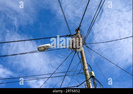 Online: Birds nest high up in telegraph pole mixed up with telecomms ...