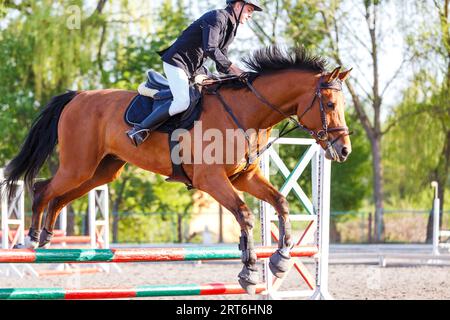 Young sportsman riding horse bounding over obstacle on showjumping ...