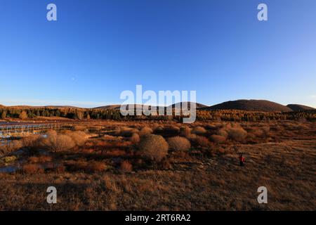 Scenery of huanggangliang scenic spot in Keshiketeng Banner Geopark ...