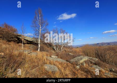 Landscape of ashhatu Stone Forest in Keshiketeng World Geopark, Inner ...